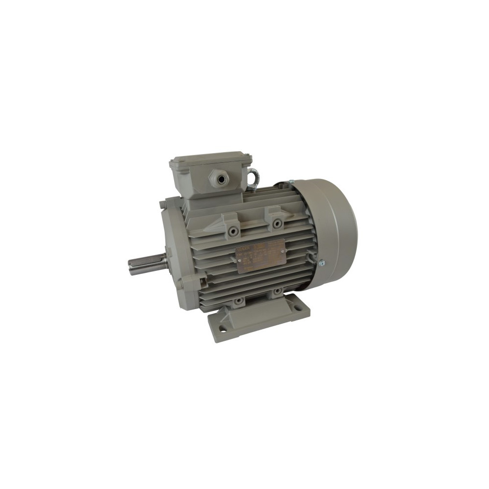 Motor Eléctrico KEB 50 HP IE2 2 Polos - Maxi Equipos